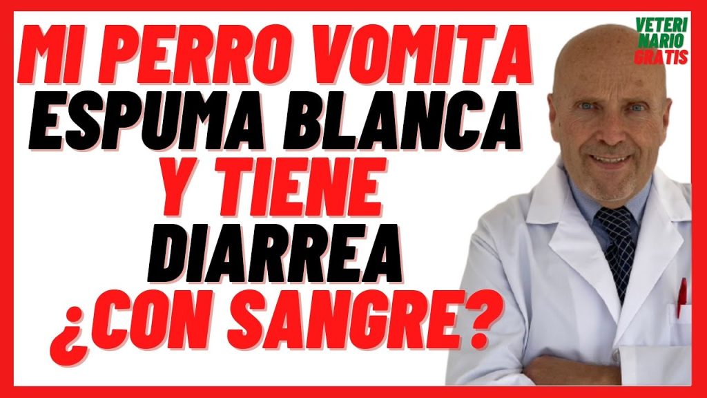 Caca Blanca En Perros: ¿Qué Significa Y Cuándo Preocuparse?